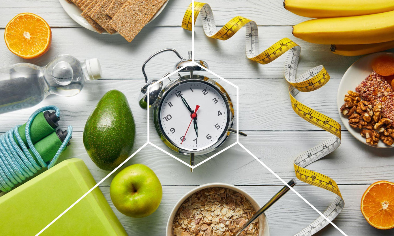 What Is The Length Of Time Needed For Achieving Autophagy? A Timeline ...