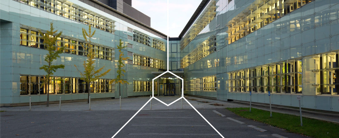 About – spermidineLIFE® by Longevity Labs, Inc.